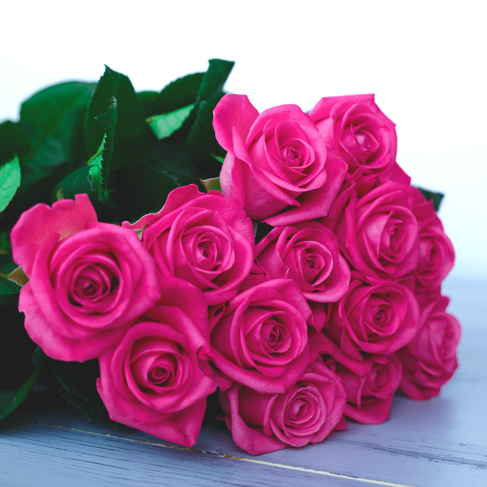 Hot Pink 12 Stem Roses Bouquet– MakeMyGift